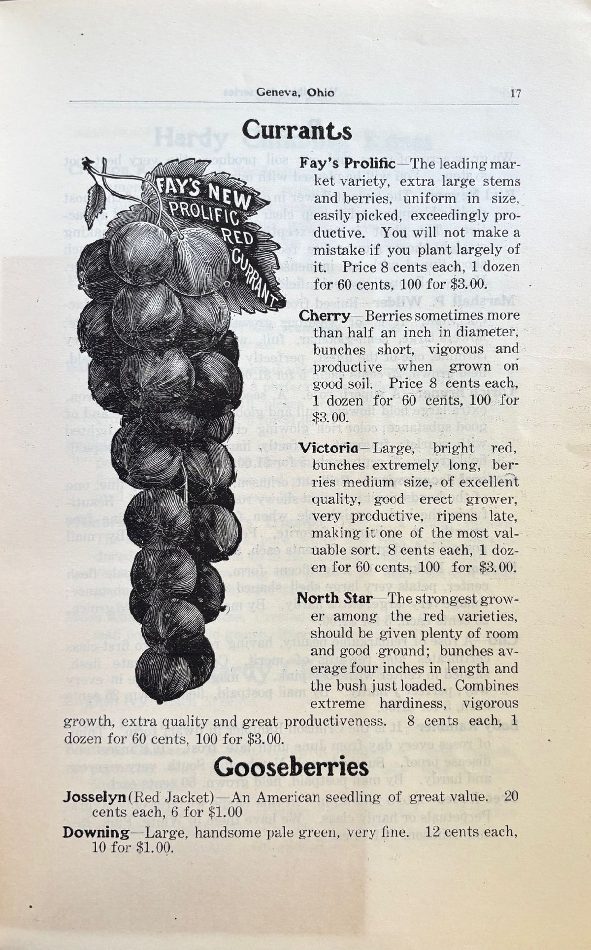 (Fruit) Woodbine Nurseries. Fruit and Ornamental Trees - Catalog ...